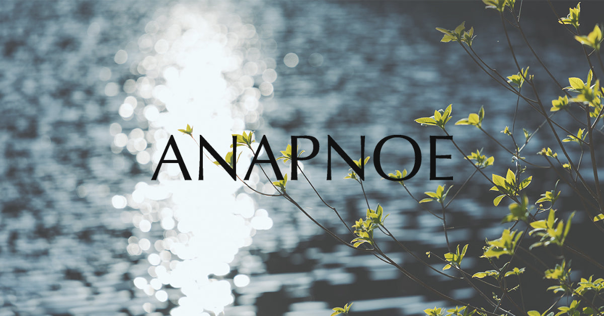 ピアス｜ANAPNOE（アナプノエ）公式｜職人が手掛ける日本製ファッションジュエリー